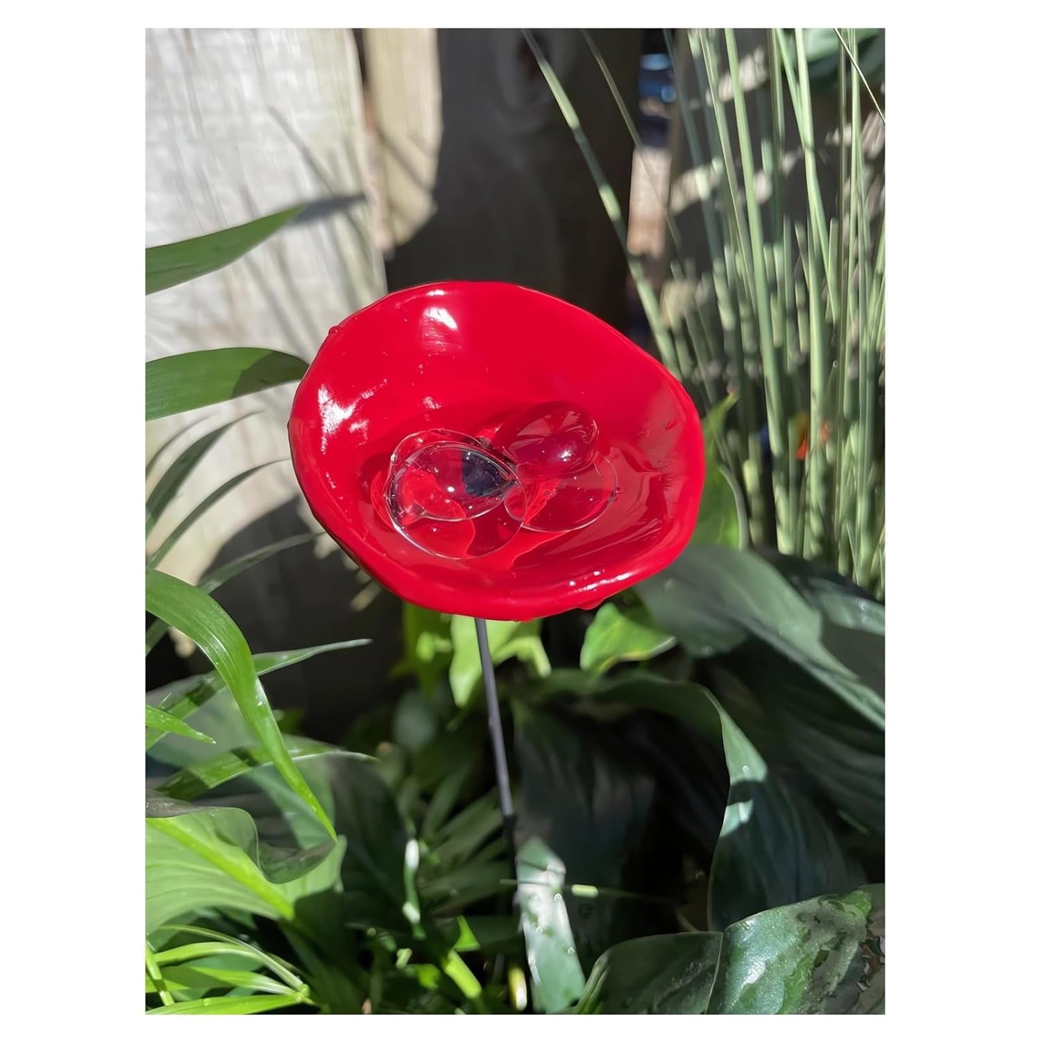 Bee Watering Station with Marbles Butterfly Puddler Hummingbird ...