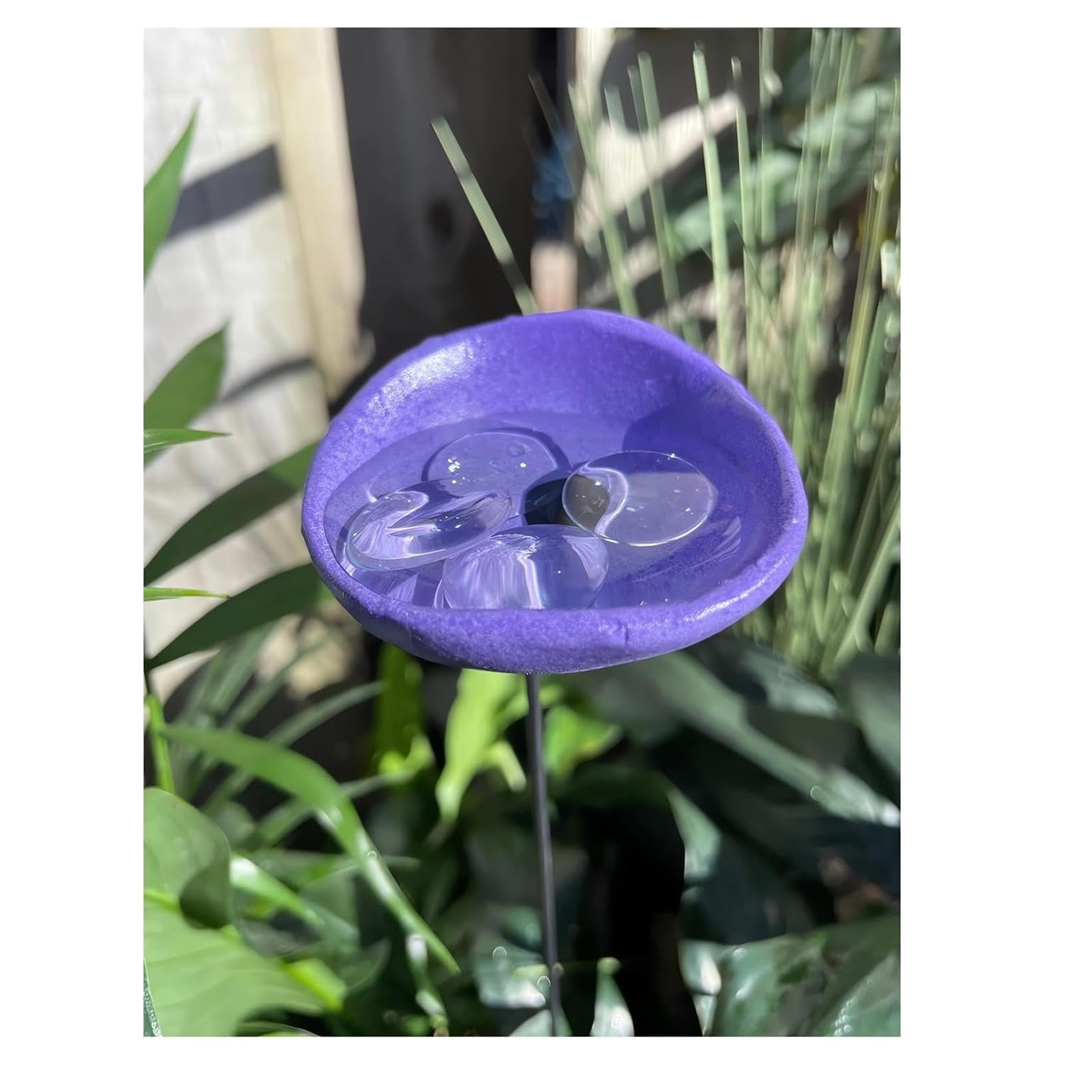 Bee Watering Station with Marbles Butterfly Puddler Hummingbird ...