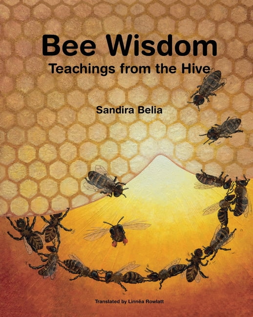 Bee Wisdom - Teachings from the Hive - Walmart.com