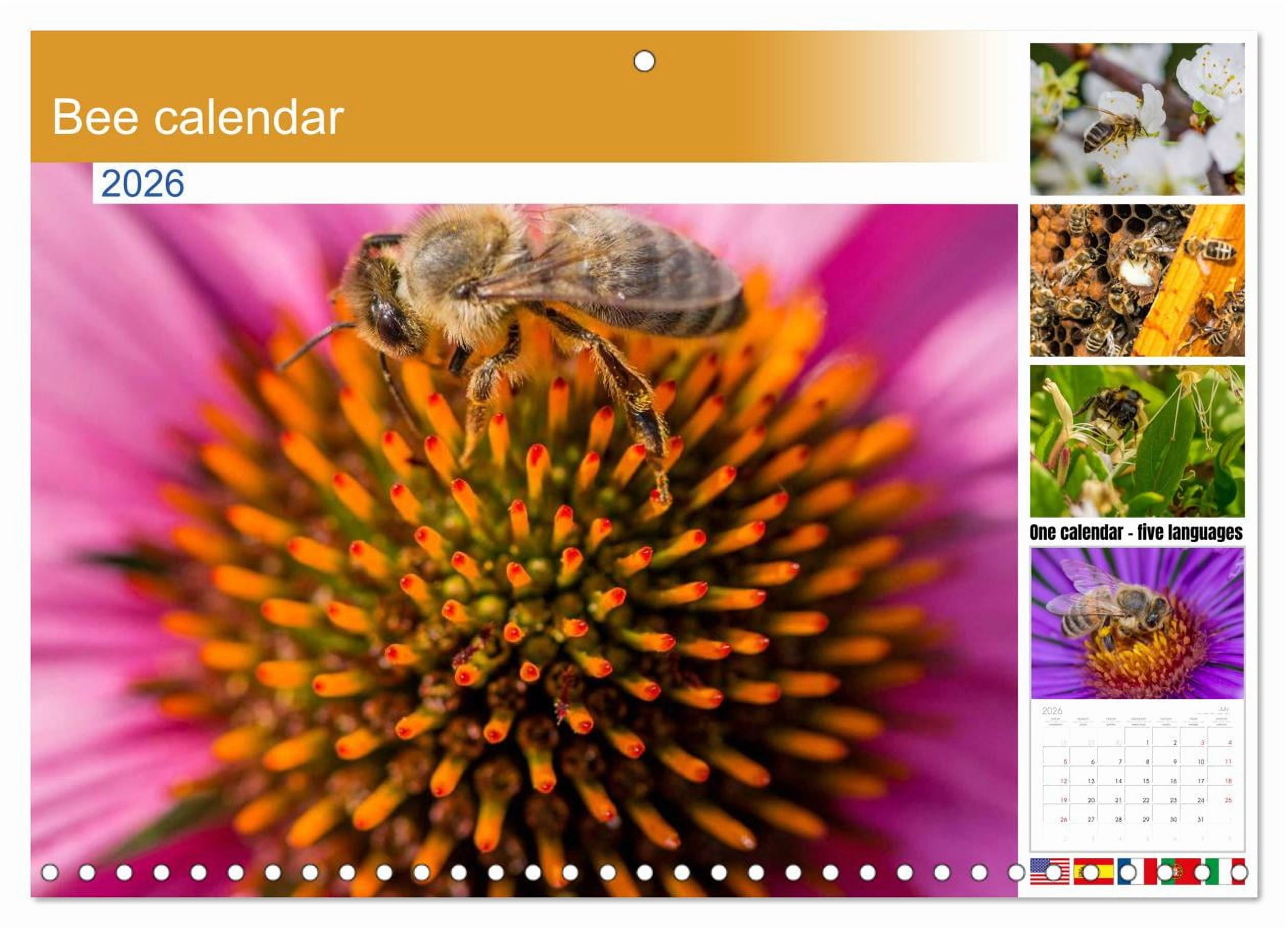 Bee calendar (Monthly Wall Calendar 2026 11.7 x 16.5 (open)), CALVENDO ...