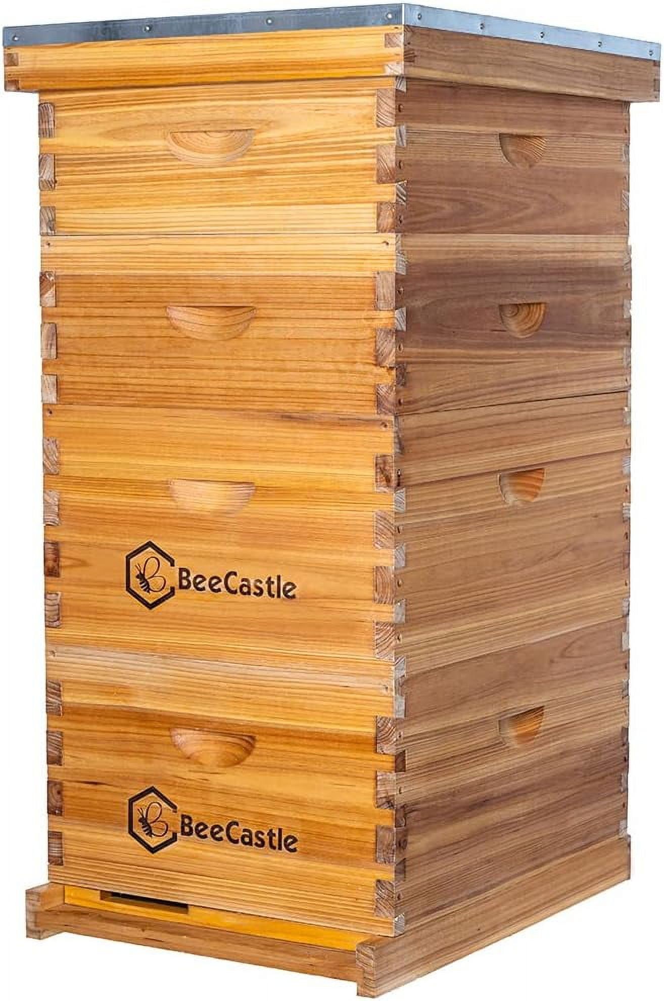 BeeCastle 10 Frame Langstroth Bee Hive Coated with 100% Beeswax Includes Beehive Frames and ...