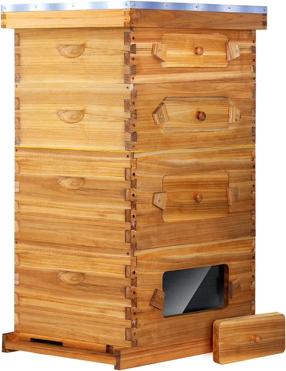 BeeCastle 10 Frame Langstroth Bee Hive with Windows Beeswax Coated ...