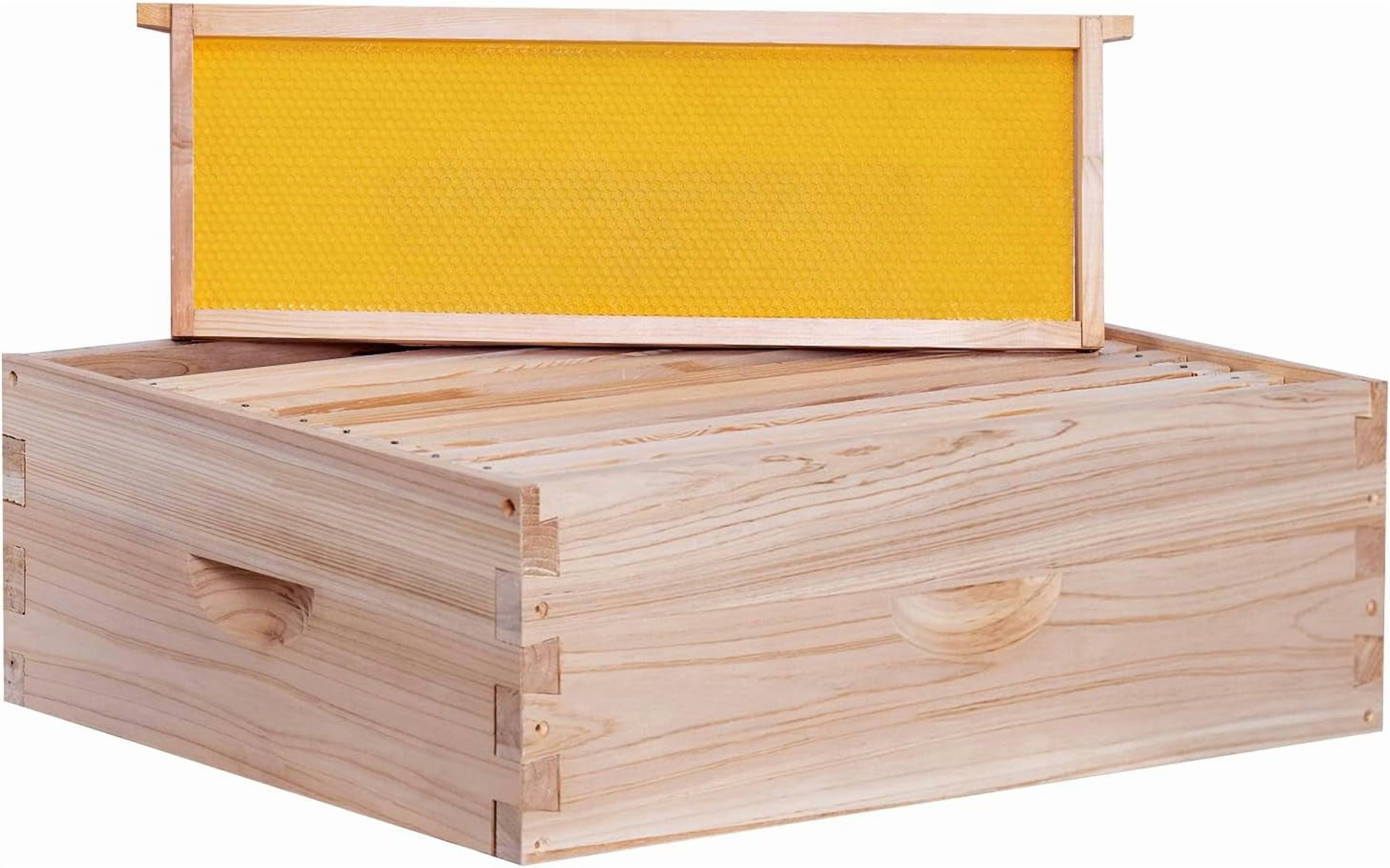 BeeCastle 10 Frame Medium Super Bee Hive Box, Langstroth Honey Bee Hive Include Beehive Frames ...