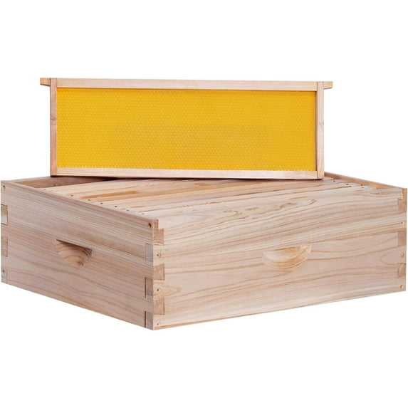 BeeCastle 10 Frame Medium Super Bee Hive Box, Langstroth Honey Bee Hive ...