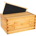 BeeCastle 8 Frame Deep Bee Hive Box, Langstroth Beehive Box Dipped in ...