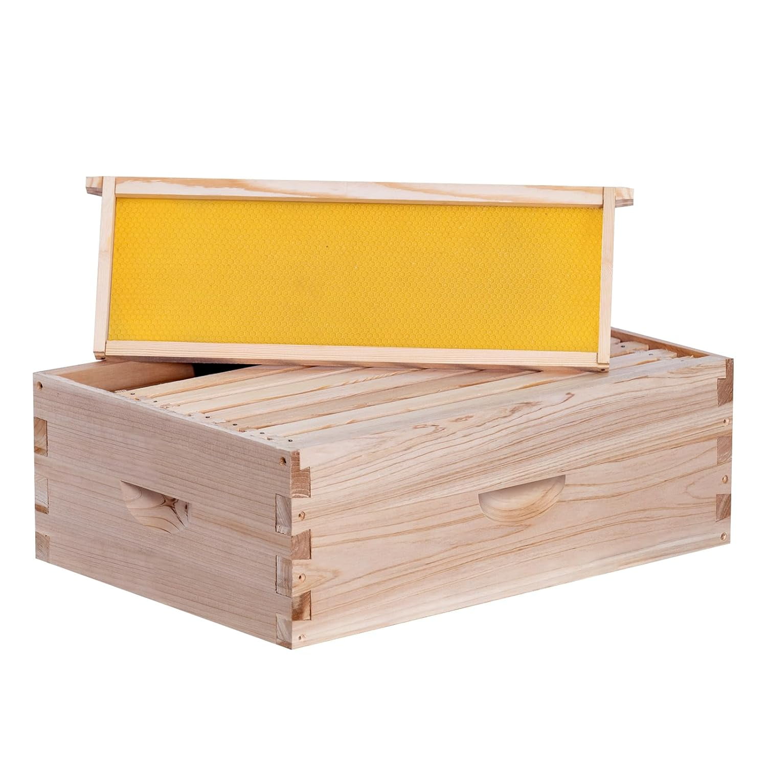 BeeCastle 8 Frame Medium Super Bee Hive Box, Langstroth Honey Bee Hive ...