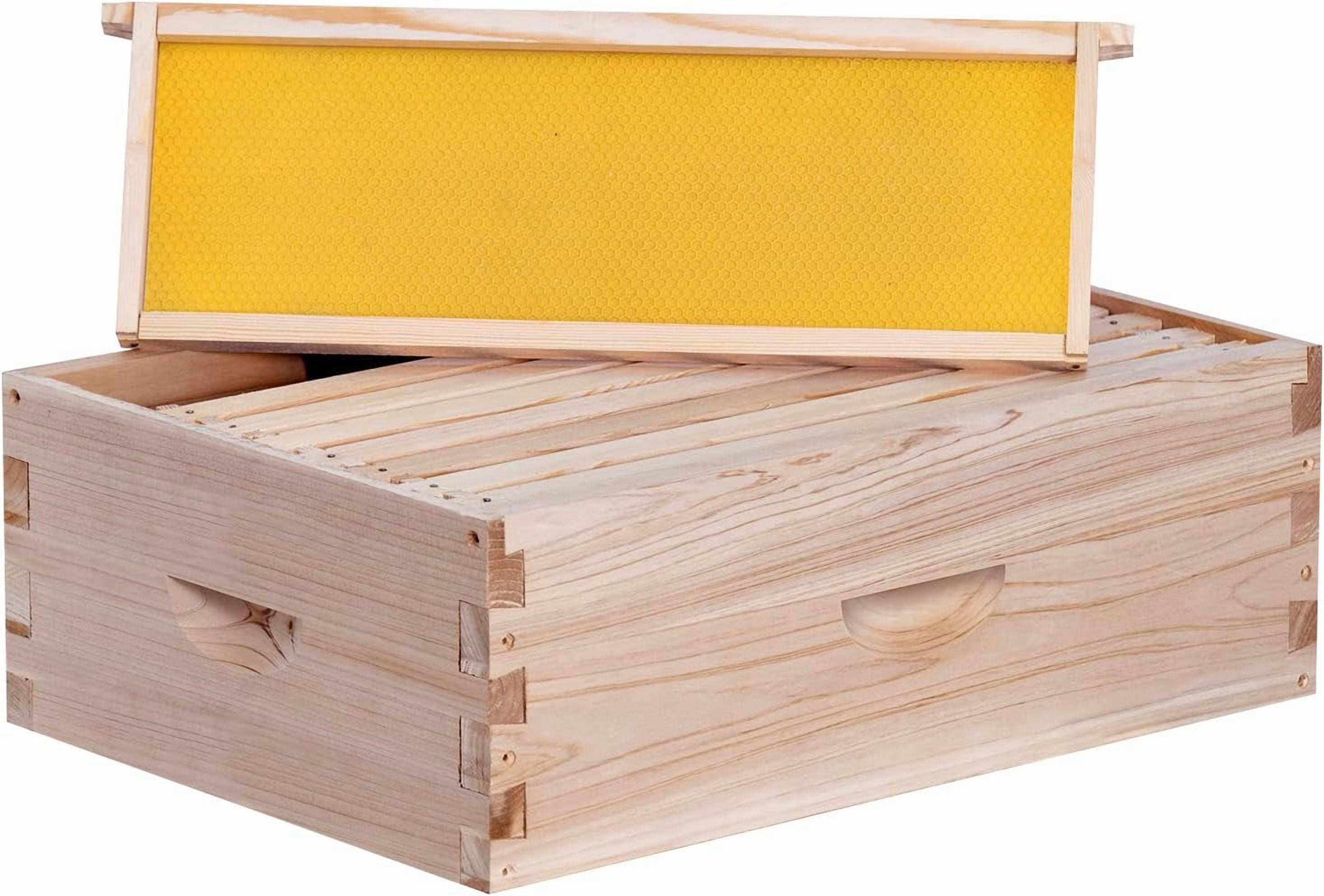 BeeCastle 8 Frame Medium Super Bee Hive Box, Langstroth Honey Bee Hive ...