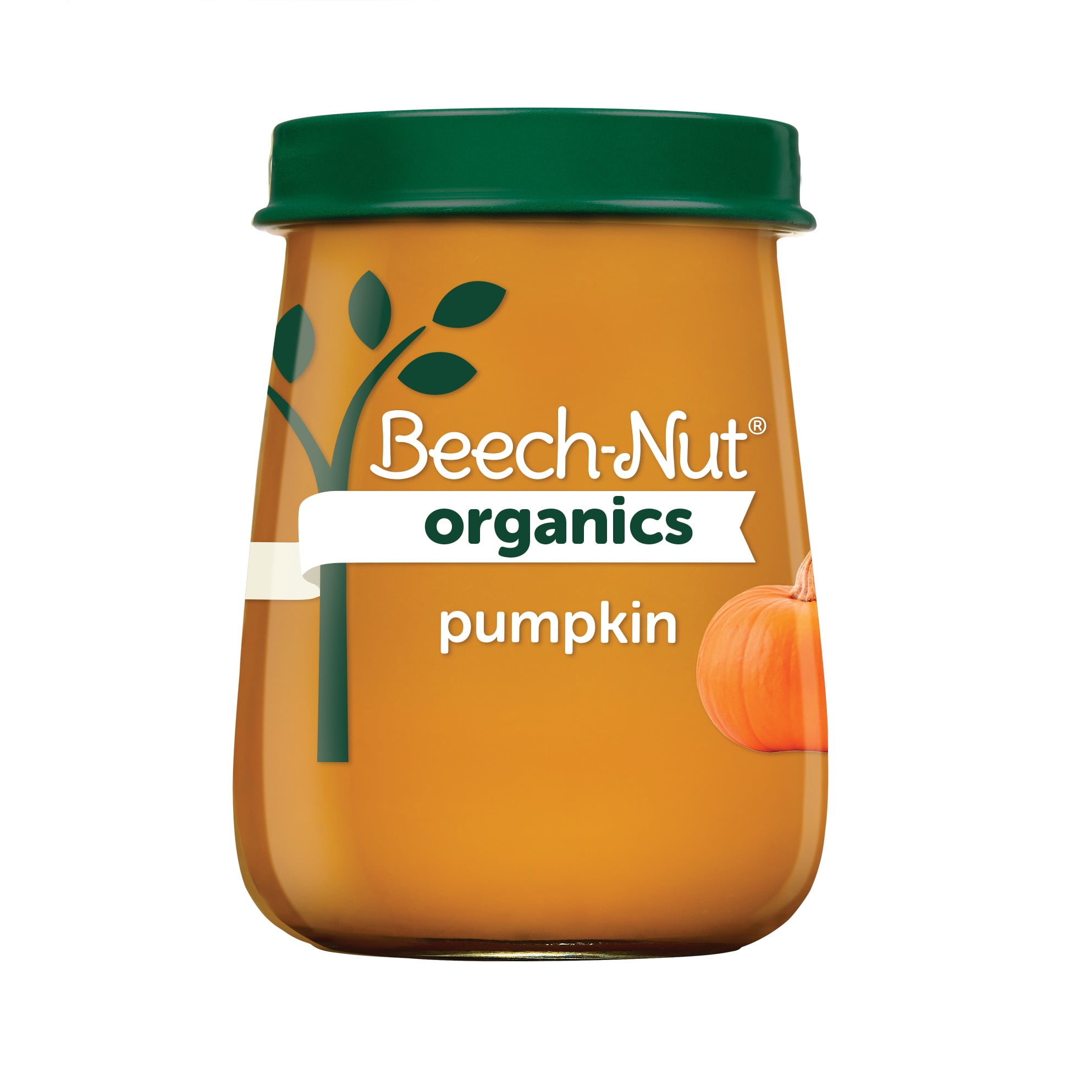 Beech-Nut Organics Stage 1 Organic Baby Food, Pumpkin, 4 oz Jar ...