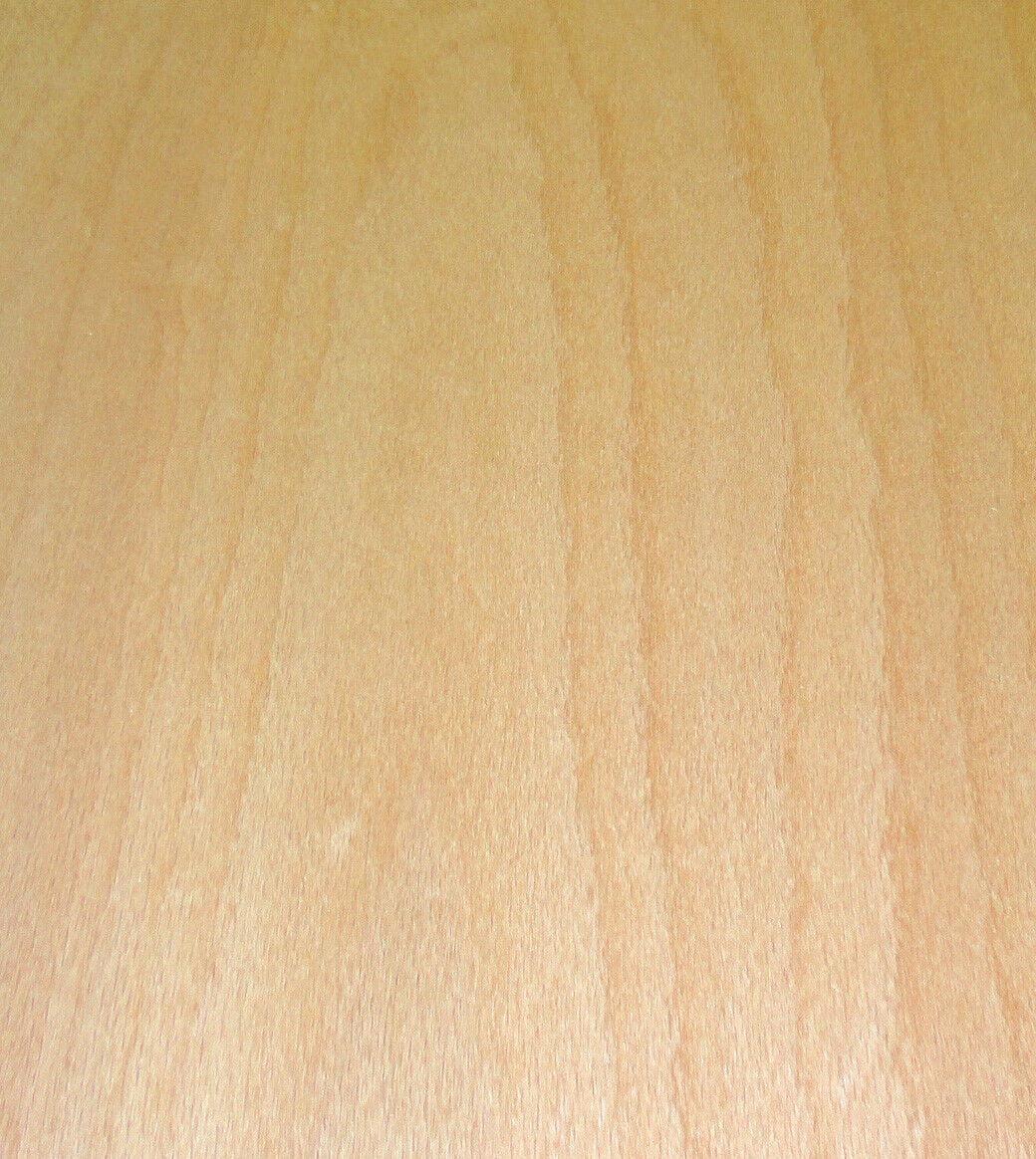 Beech Steamed Flat Cut wood veneer sheet 24" x 96" on paper backer 1/40 ...