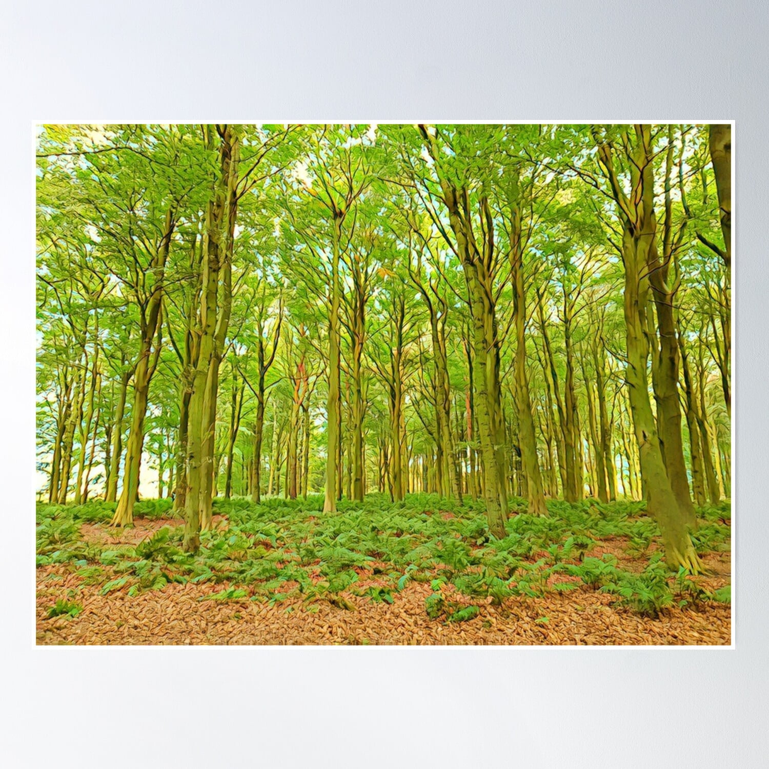 Beech Tree Forest Canopy Poster Poster Wall Art, Modern Wall Decor ...