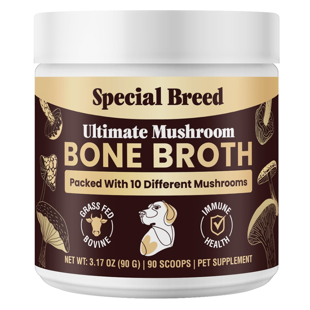 Beef Bone Broth for Dogs - Dog Bone Broth Powder with Ten Organic ...
