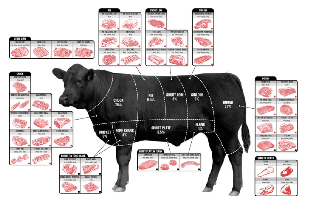 Beef Cuts Butcher Chart Cattle Diagram Poster Metal Print 12In x 16In ...