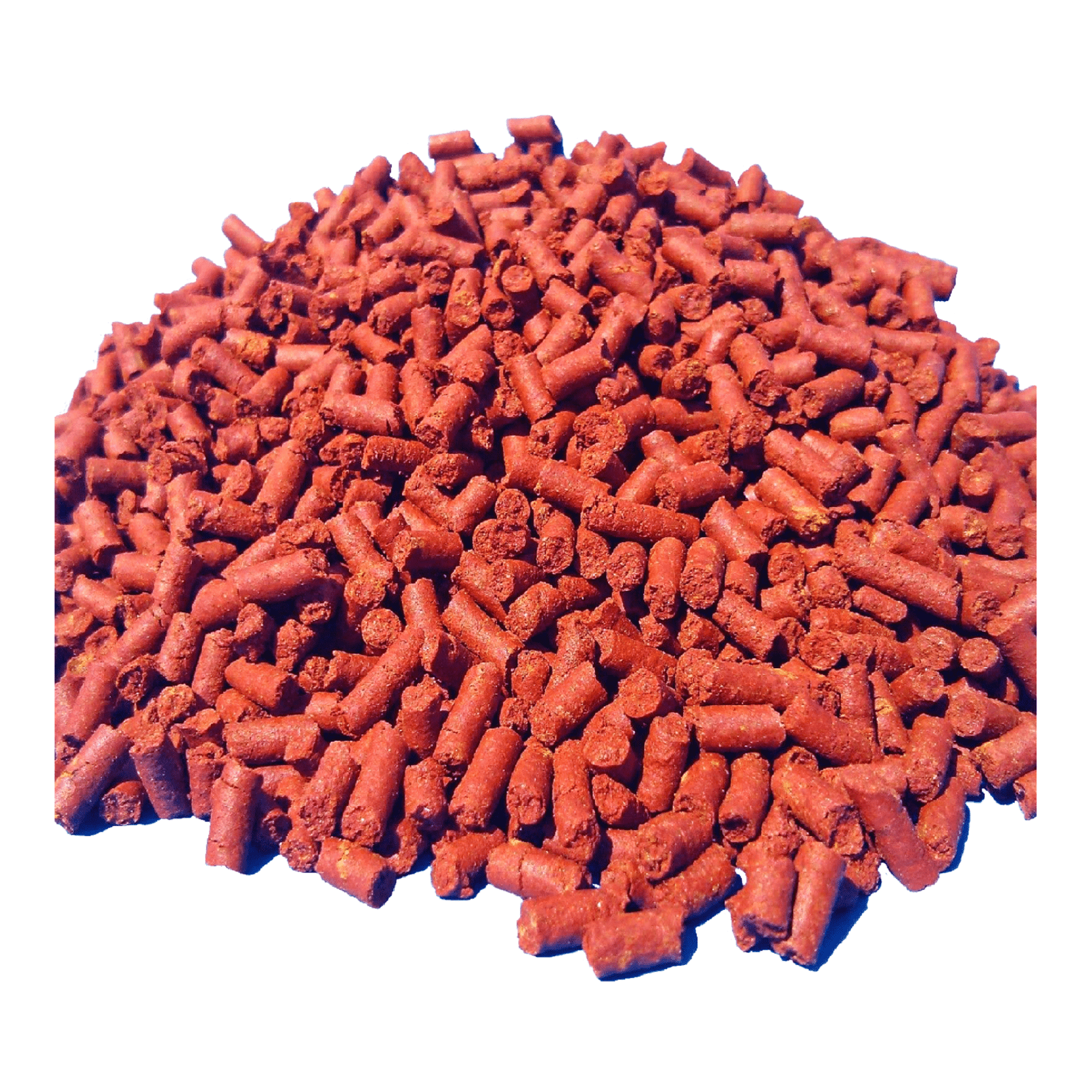 Beef Heart Mix Bits for Discus, Cichlids, Bottom Fish, All Types of ...