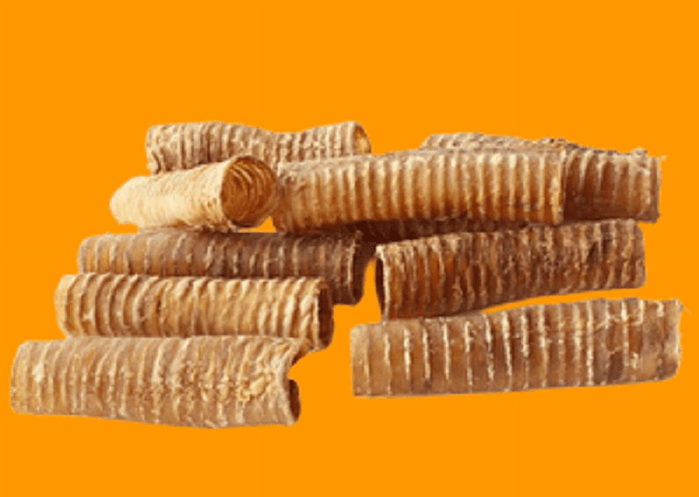 Beef Trachea 6 inch Natural Dog Chew Natural & Highly Digestible ...