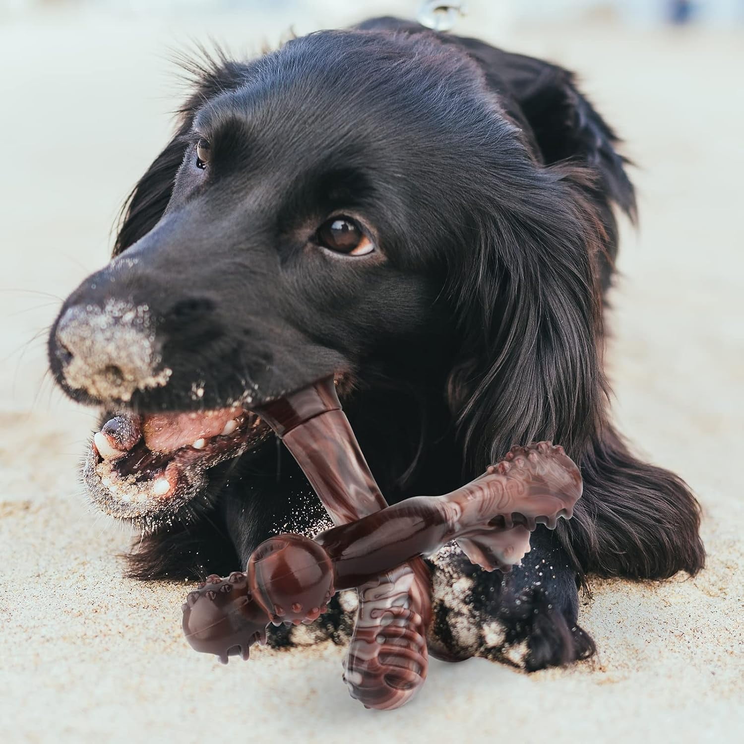 Beef flavored cross shaped double bone nylon grinding toy (groove ...