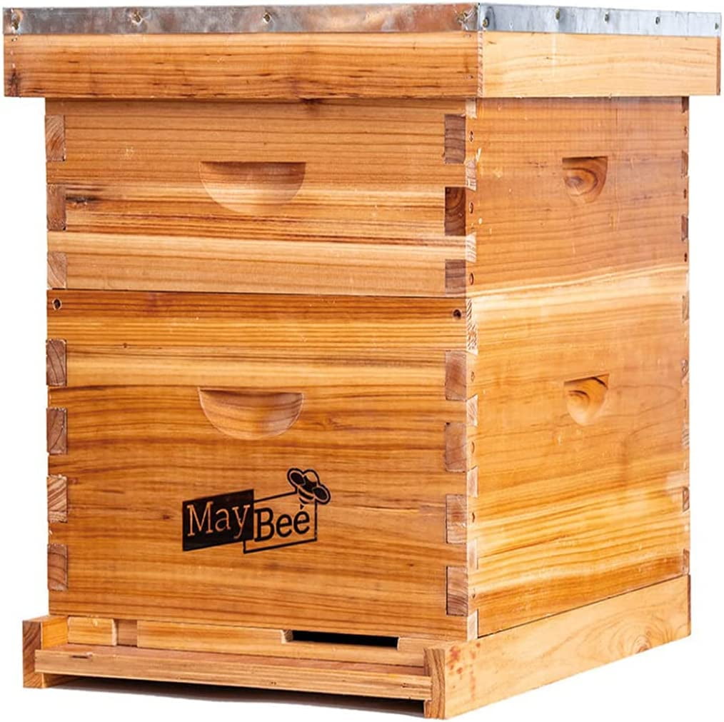 Beehive 10 Frame Bee Hives and Supplies Starter Kit, Bee Hive for ...