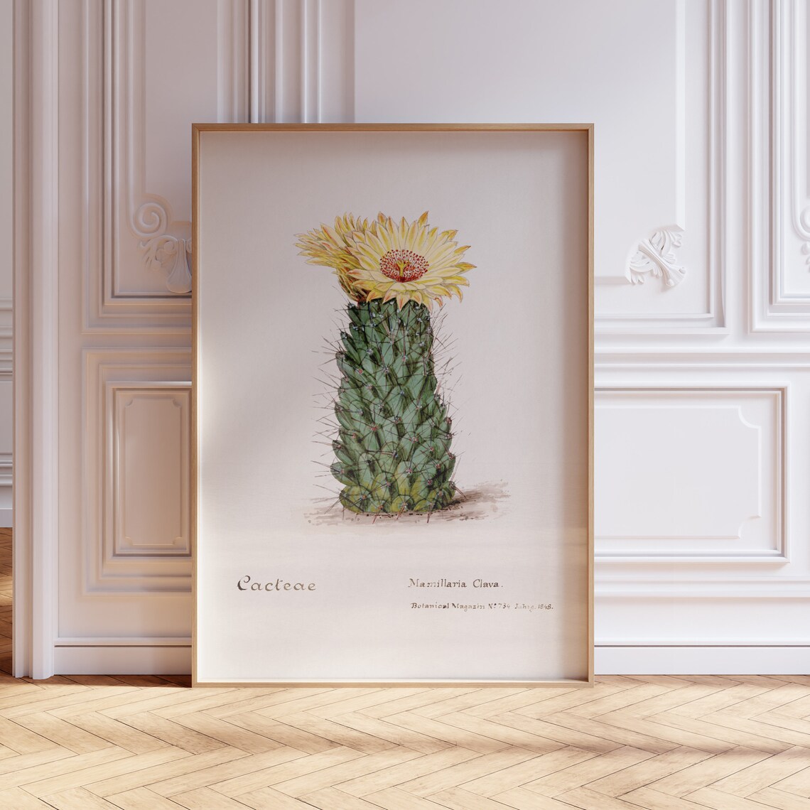 Beehive Cactus Poster Wall Art, Soft Vintage Botanical Illustration For ...