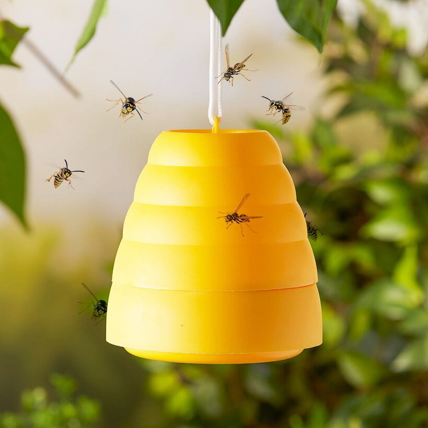 Beehive Wasp and Hornet Catcher Trap for Outside - Hang on Porch or ...