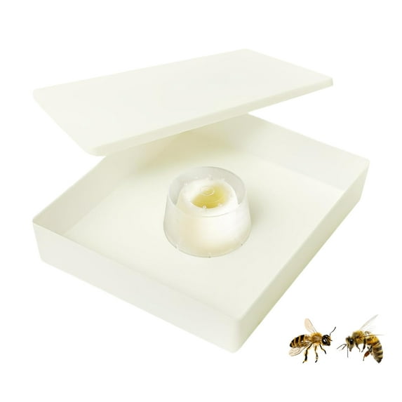 Beekeeper Essential 6 Liter Hives Feeder Durability White With Internal Guard Suitable For Sugar ...