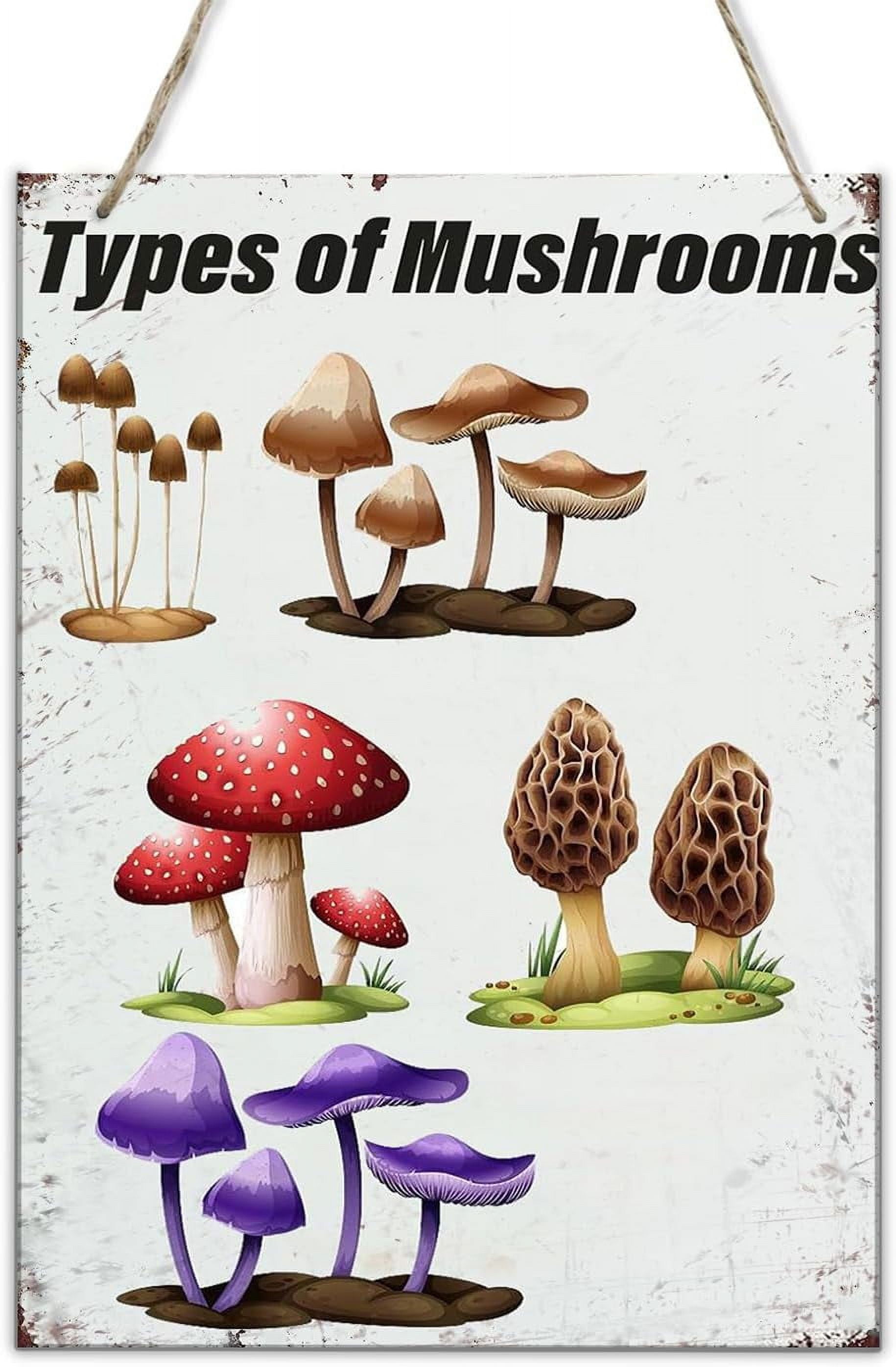 Beekeeper Knowledge Wood Sign Beekeeper'S Calendar Retro Poster Beehive ...