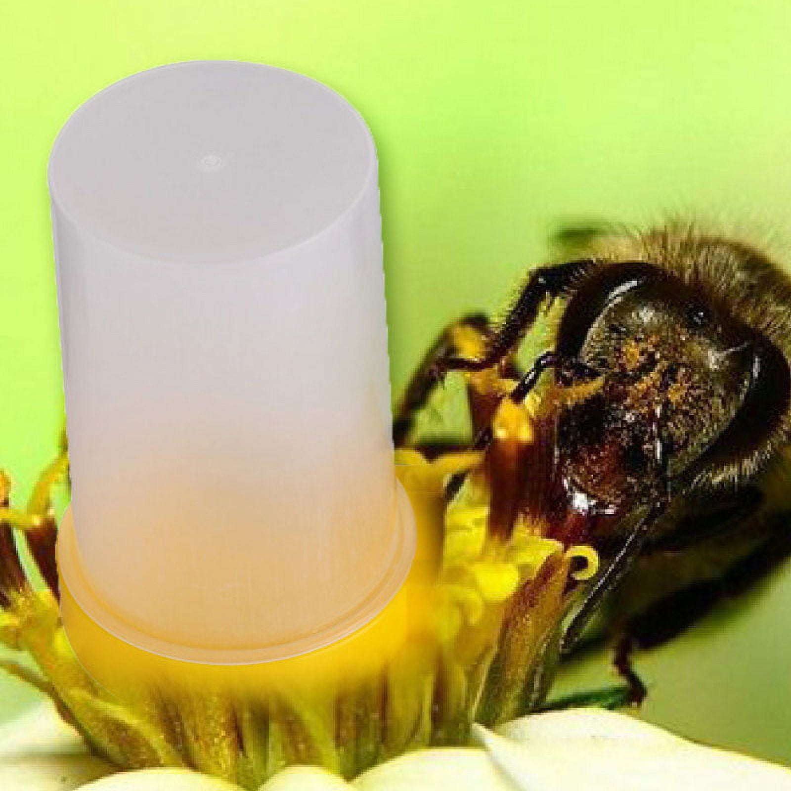 Beekeeping Beehive Water Feeder Bee Drinking Nest Entrance Beekeeper ...