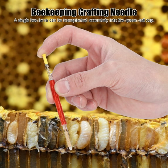 Beekeeping Grafting Tool For Queen Rearing, Precise Larva Transplanting ...