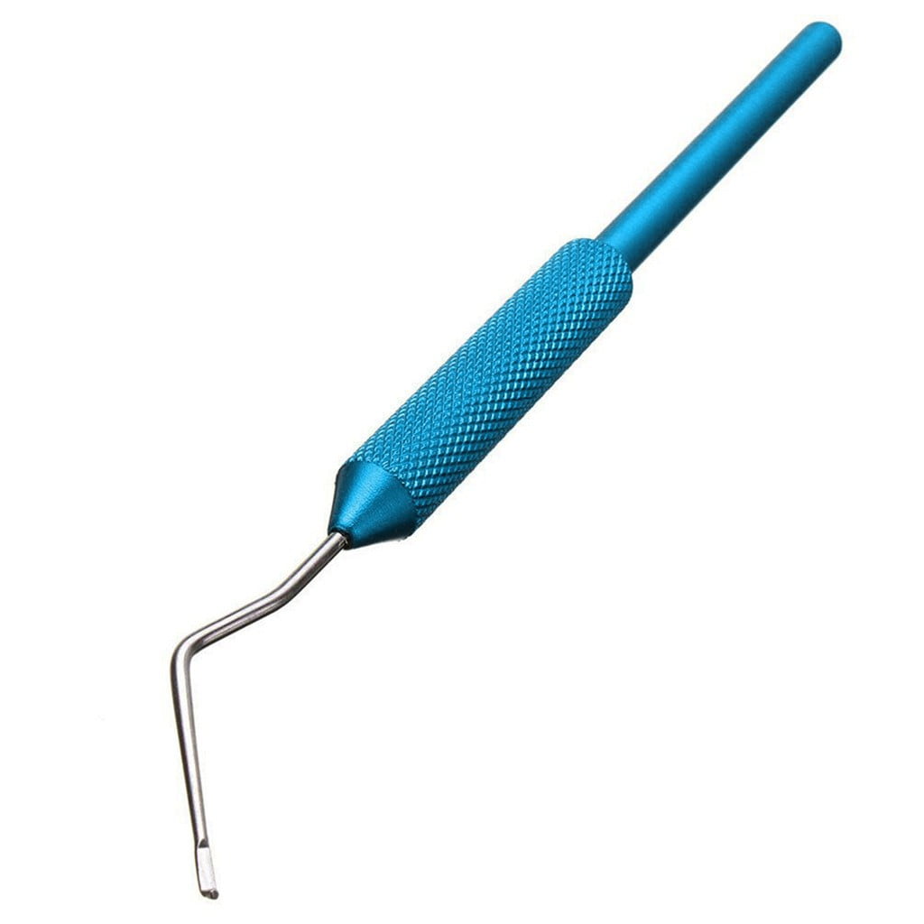 Beekeeping Grafting Tool,Stainless Steel Needle Honey Bee Larva Moving ...