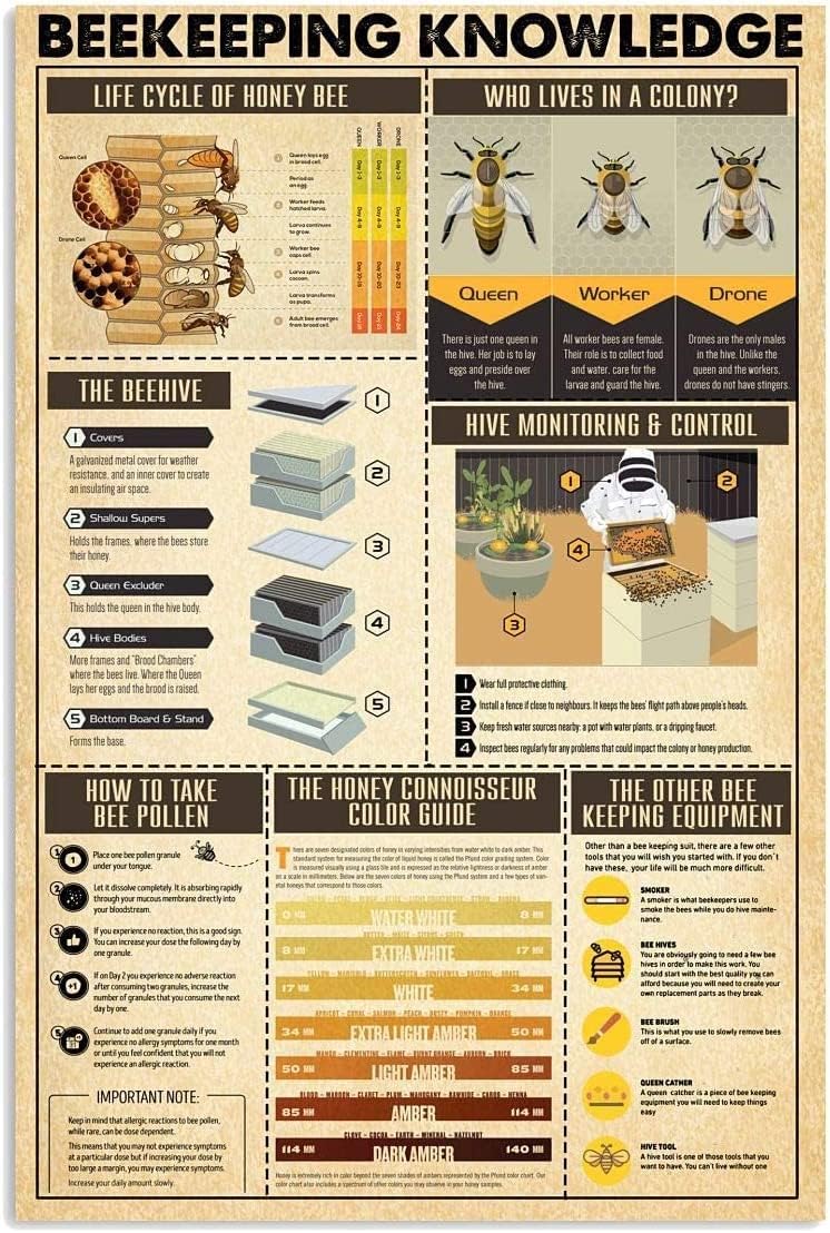 Beekeeping Knowledge Metal Signs Retro Style Wall Art Infographic ...