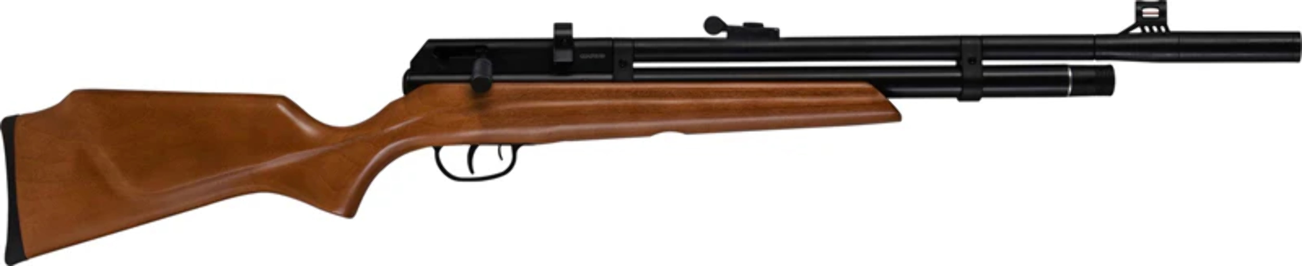 Beeman 1331 Raider .22 PCP Air Rifle with Wood Stock and 10-Shot Magazine - Walmart.com