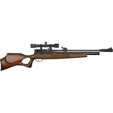 Beeman 10622GP DC Gas Ram Air Rifle (Dual Caliber .177 or .22) with ...