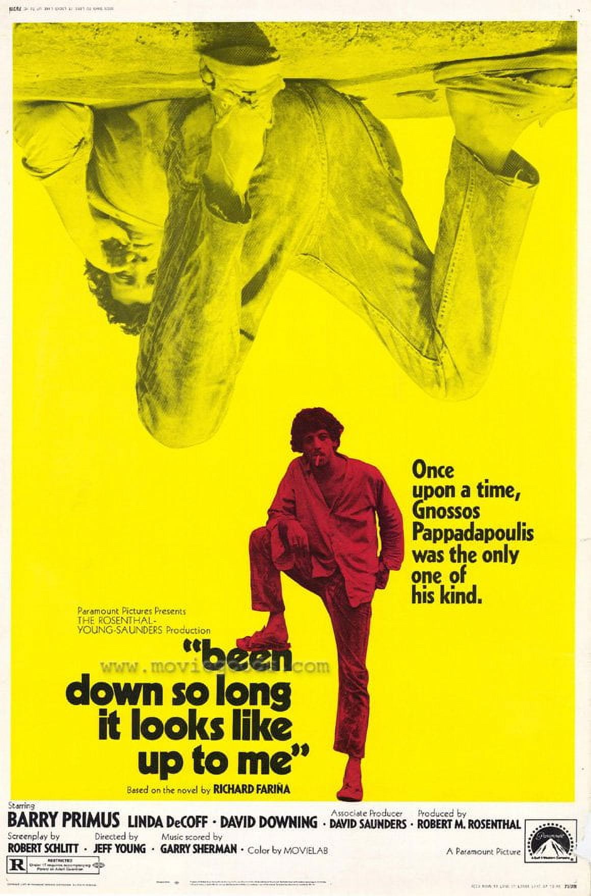 Been Down So Long It Looks Like Up To Me Movie POSTER Style A 27 been-down-so-long-it-looks-like-up-to-me-movie-poster-style-a-27