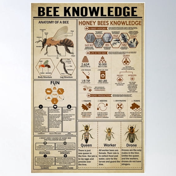 Beeology Unleashed: A Journey Into The World Of Bees Poster Wall Art ...