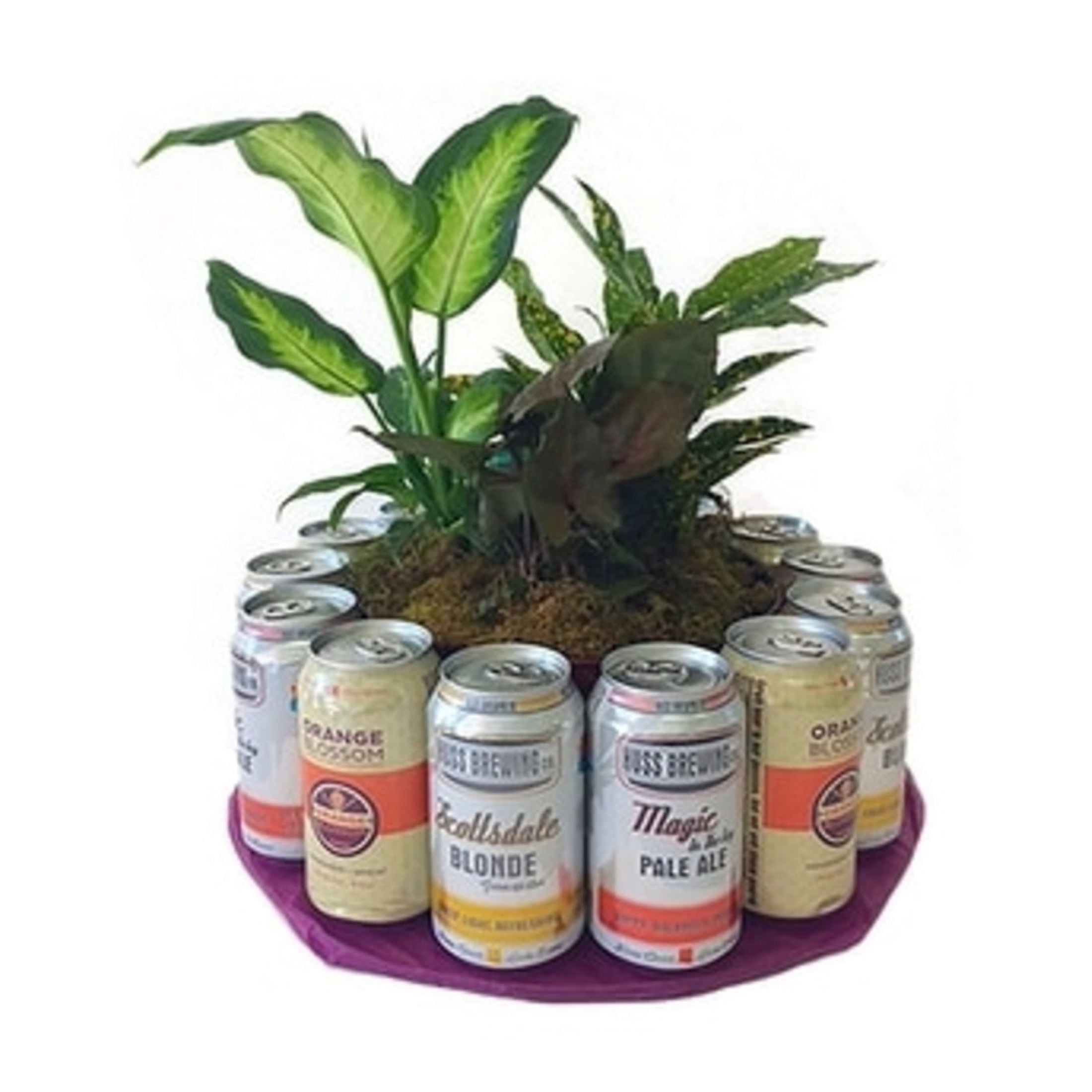 Beer Garden by Cactus Flower - Walmart.com
