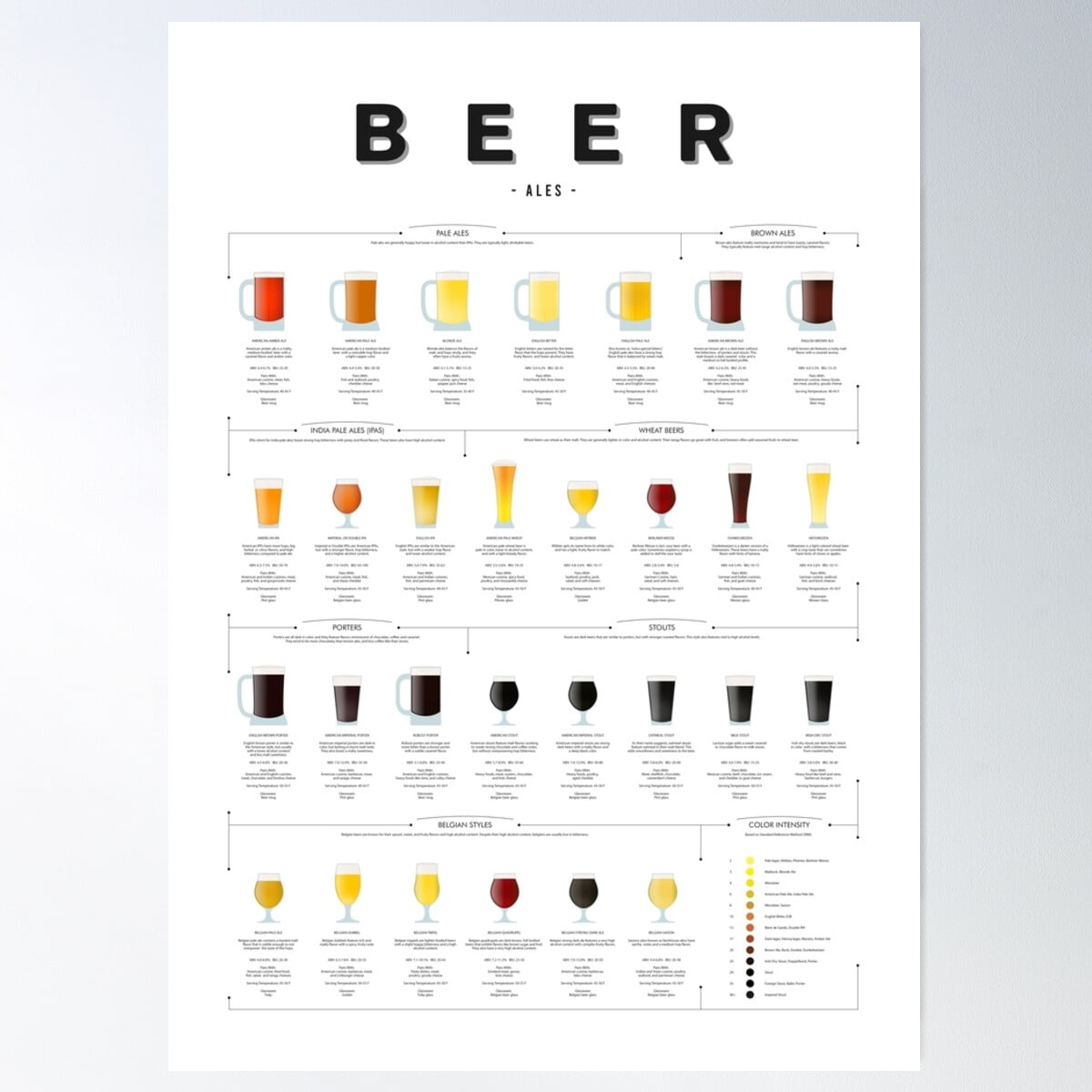 Beer Types Chart - Ales Poster Wall Art, Modern Wall Decor For Living ...