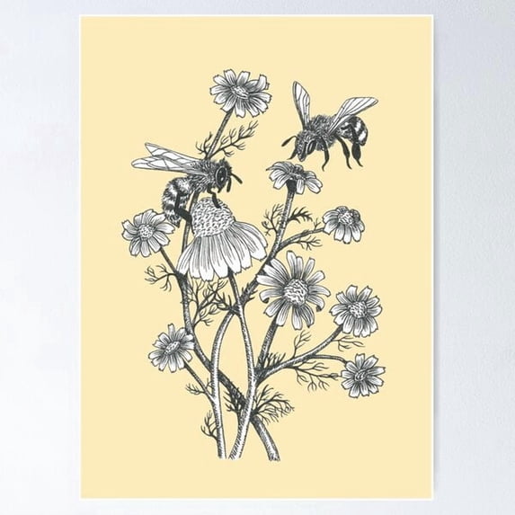 Bees And Chamomile On Honey Background Poster, Poster Home Decor ...