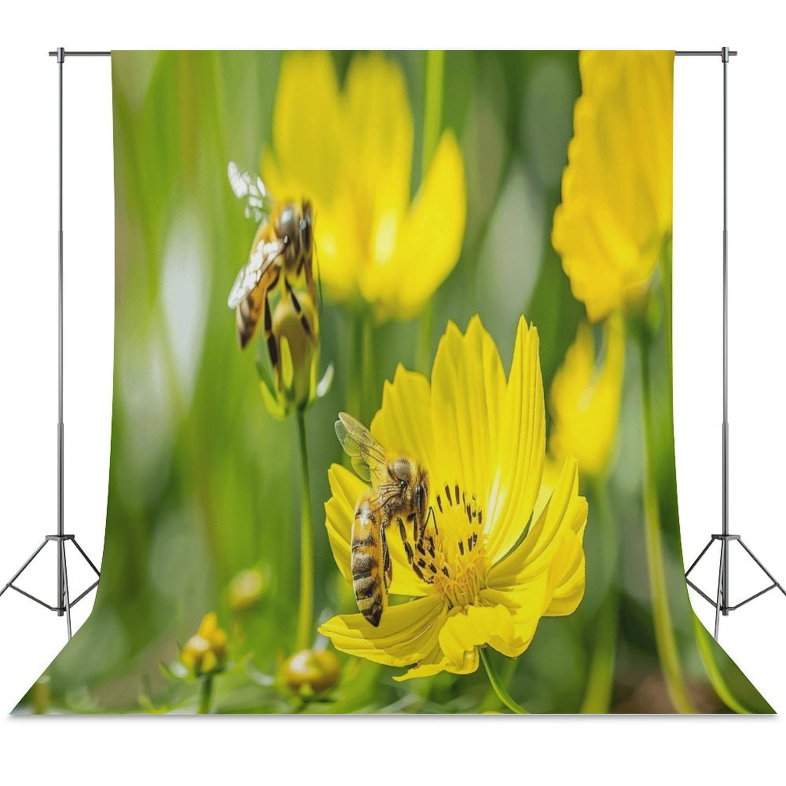 Bees Collect Honey Backdrops for Photography for Party Backdrop Wedding ...