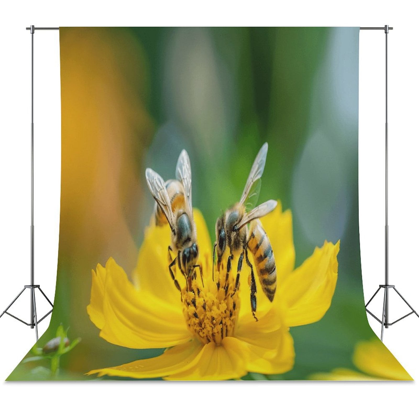 Bees Collect Honey Backdrops for Photography for Party Backdrop Wedding ...
