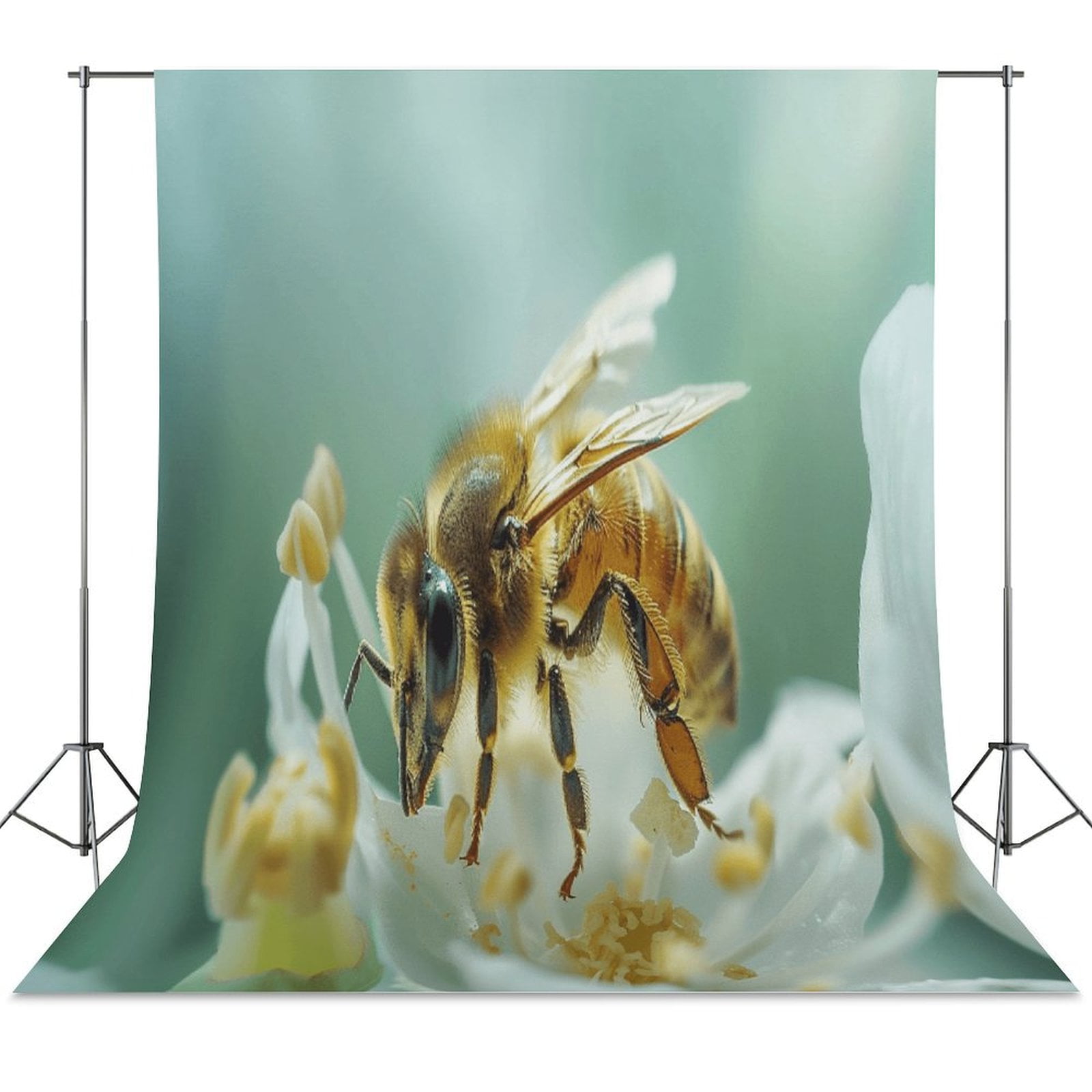 Bees Collect Honey Spring Backdrop Backdrops for Photography Photo ...