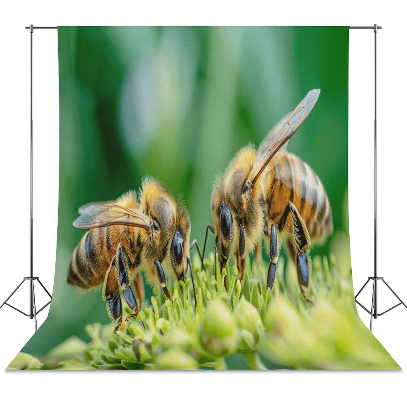 Bees Collect Honey Spring Wall Backdrop Background Floral Backdrops ...
