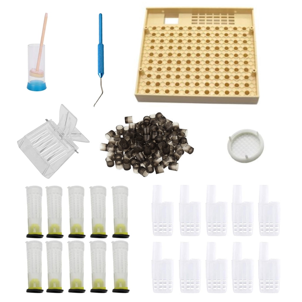 Bees Tools Cages King Queen Rearing Cup System Beekeeping Catcher Box ...