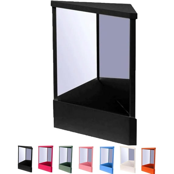 Beeswan True Mirror Non Reversing, Non-Reversing Mirror with True Image ...