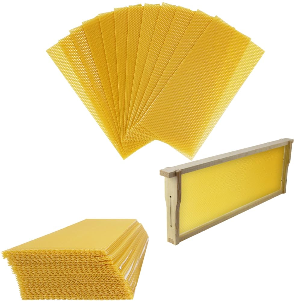 Beeswax Foundation Honeycomb Bee Honey Sheets Beehive Wax Beekeeping ...