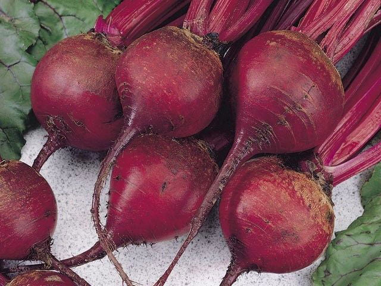 Beet Ruby Queen Great Heirloom Vegetable 1,500 Seeds - Walmart.com