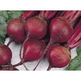 Beet Ruby Queen Great Heirloom Vegetable 1,500 Seeds - Walmart.com