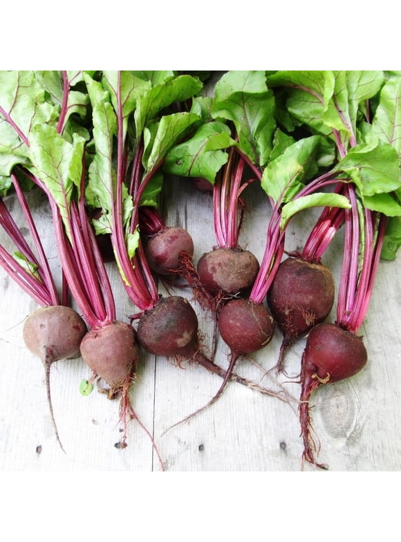 Beet Seeds in Seed Gardening - Walmart.com
