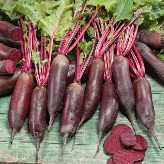 Eden Brothers Beet Seeds - Cylindra - Walmart.com