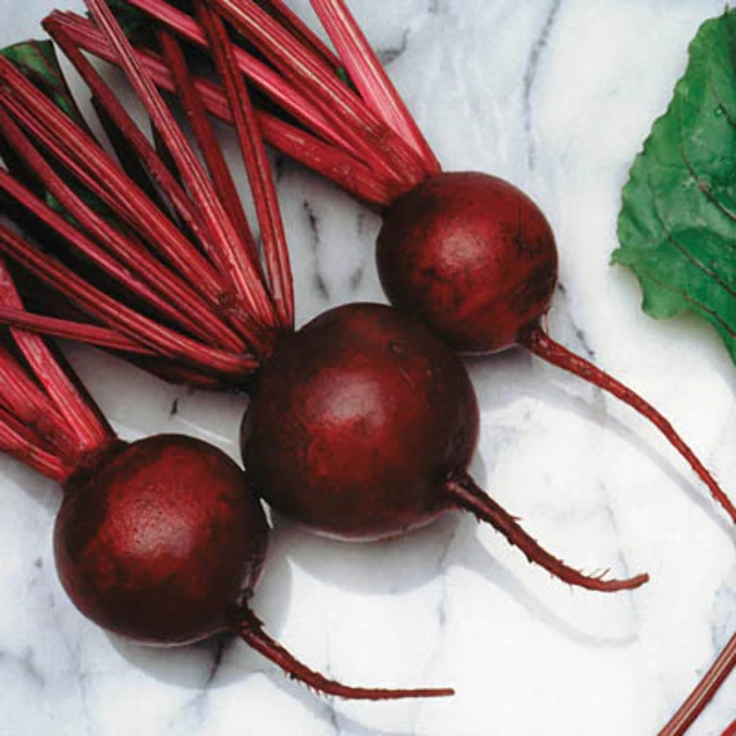 Beet Seeds - Kestrel F1 Variety Seeds - Non-GMO - 10,000 Seeds ...
