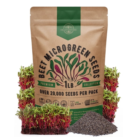 Beet Seeds in Seed Gardening - Walmart.com