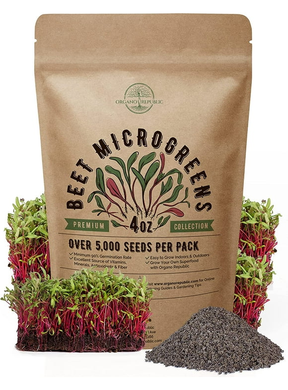 Beet Seeds in Seed Gardening - Walmart.com