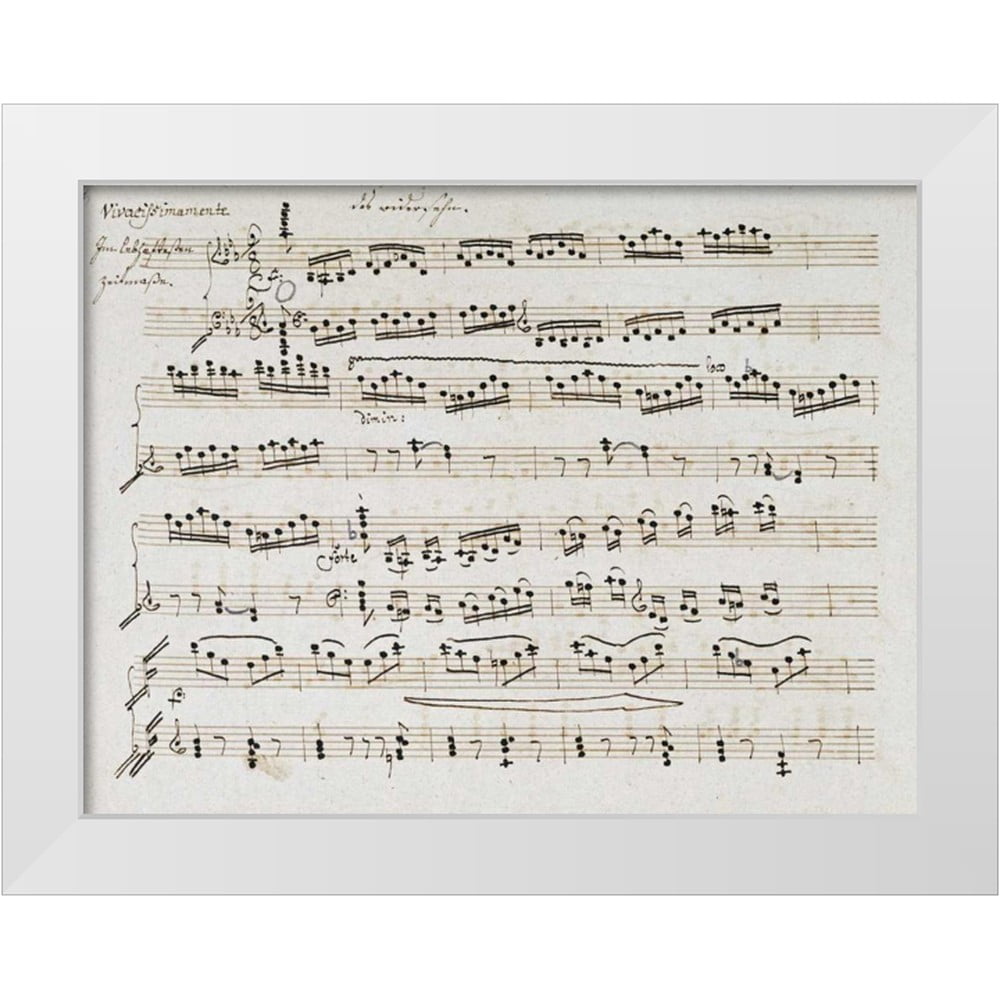 Beethoven, Ludwig Van 18x15 White Modern Wood Framed Museum Art Print ...